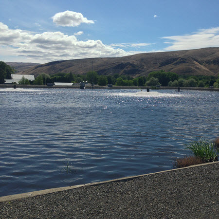 City of Selah Municipal Energy Infrastructure | Ameresco